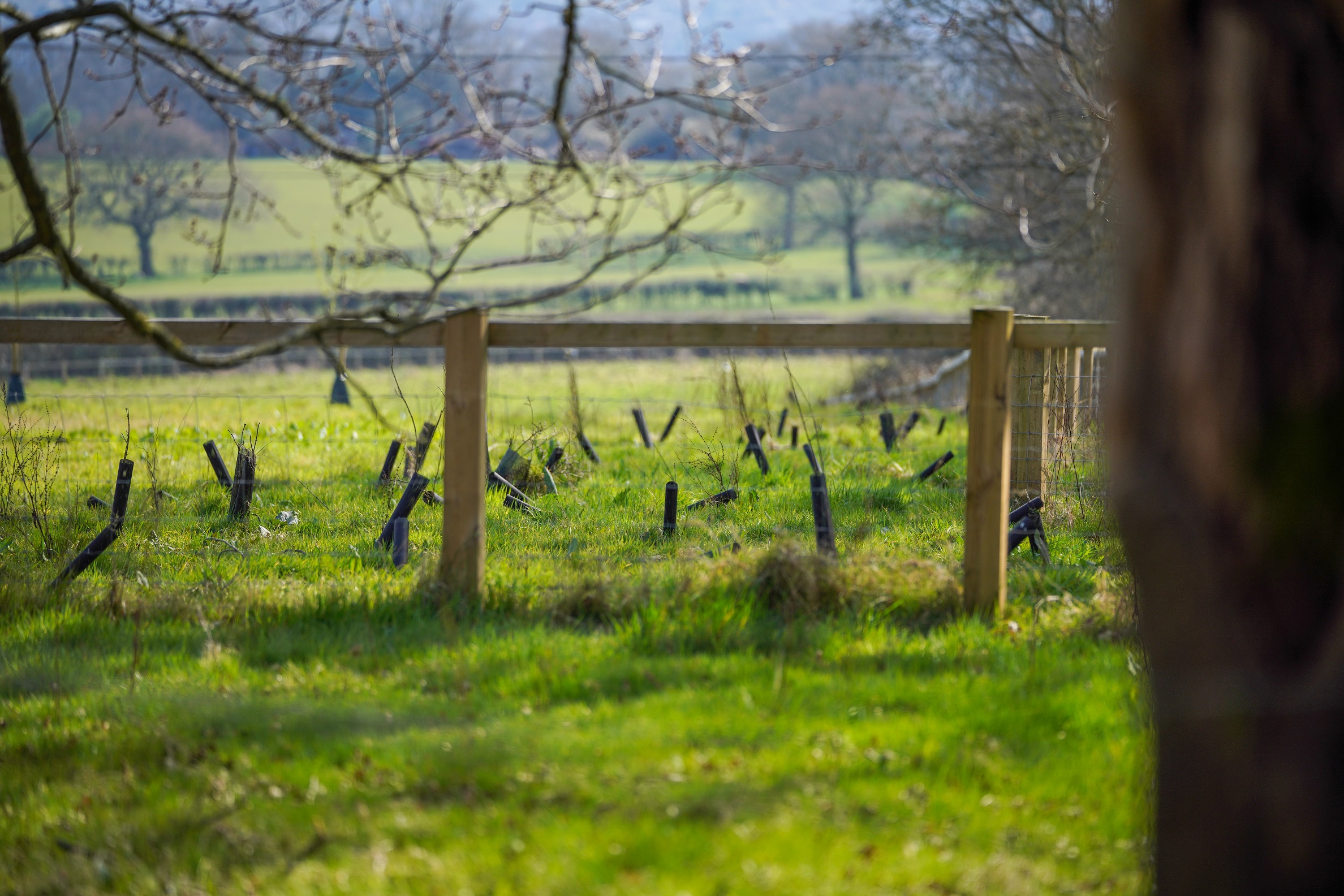 What is Biodiversity Net Gain? - Catesby Estates
